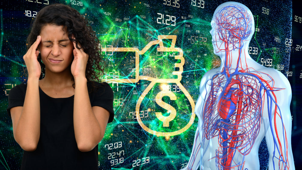 Financial Nervous System Diagnostic (FNSD) – Counterflow